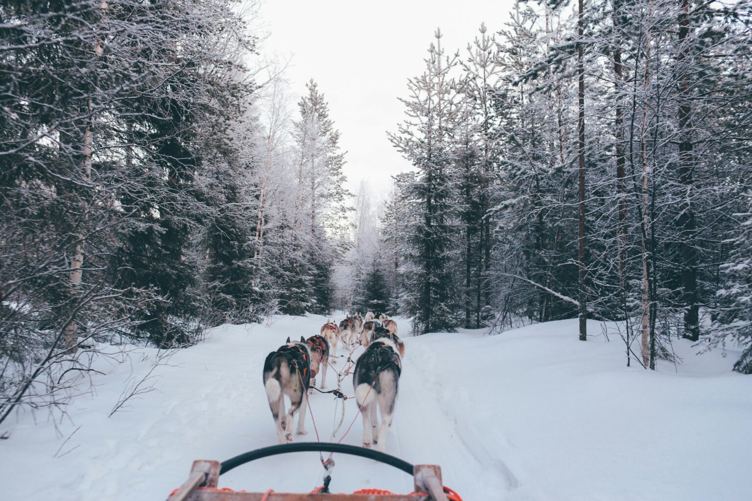 11 Top Tourist Attractions in Finland